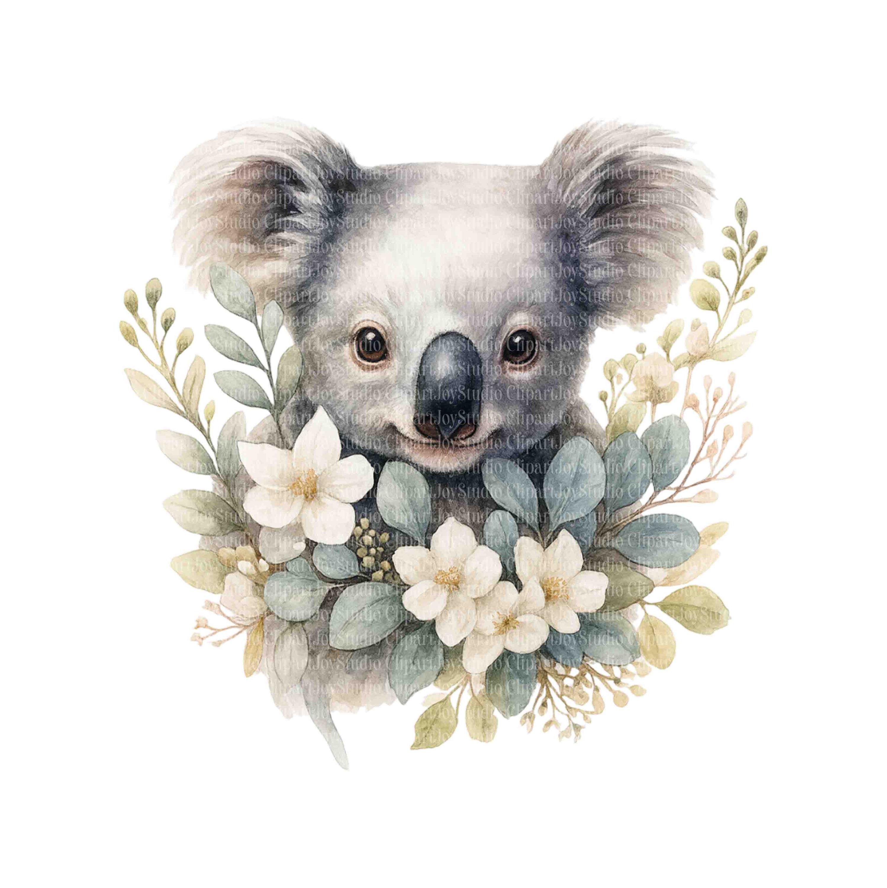 Koala Bear Clipart Bundle, Printable Watercolor Clipart, High Quality ...