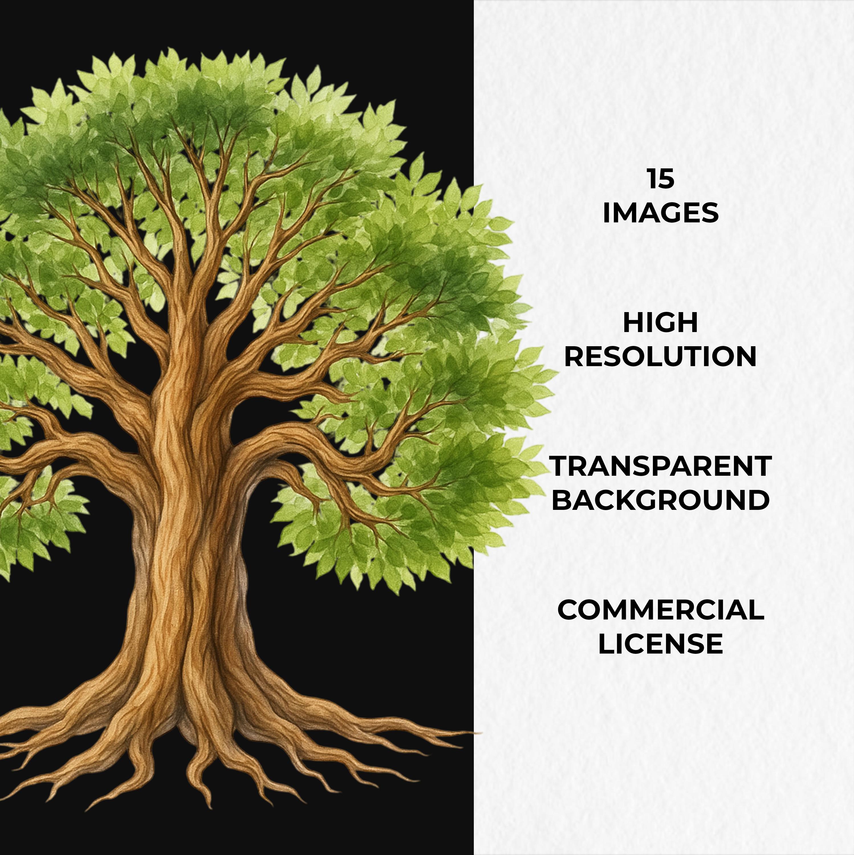 Tree of Life With Roots Clipart, Oak Family Tree, Printable Watercolor ...