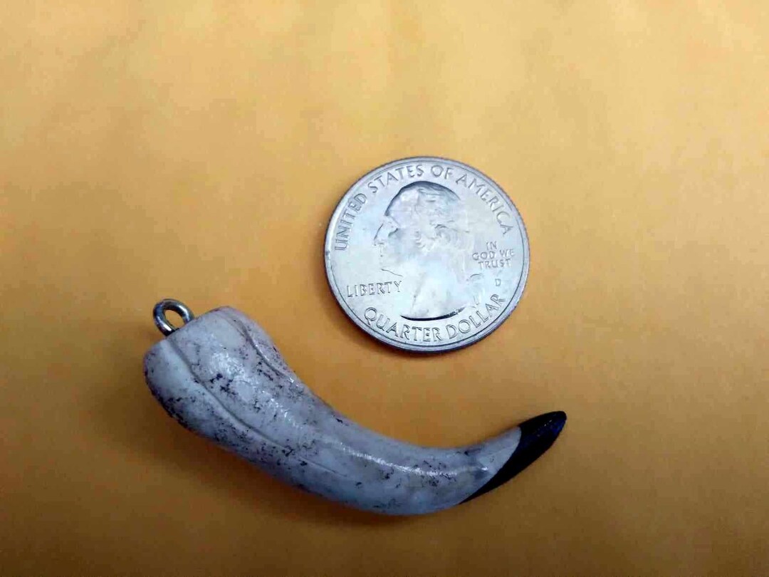 Mini Basilisk Fang Hand Sculpted Charm - Etsy
