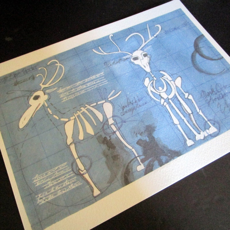 Reindeer Skeleton - Etsy