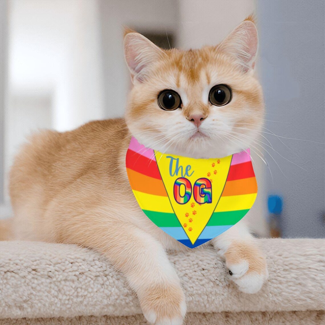 Show Your Cat Pride With This Pride Flag Cat Bandana, Reversible Pet ...