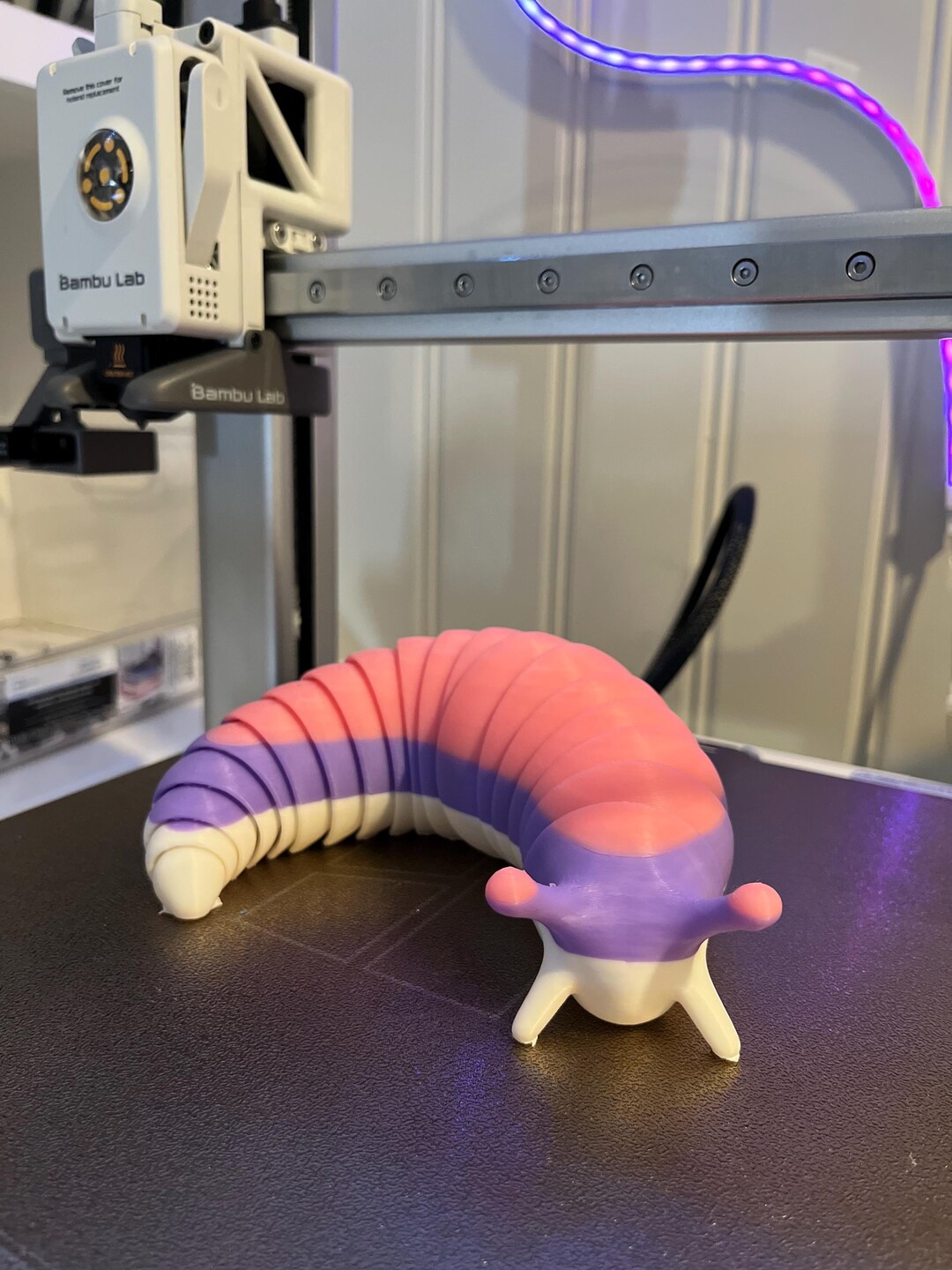 Giant Colorful Slug Fidget Toy - Etsy