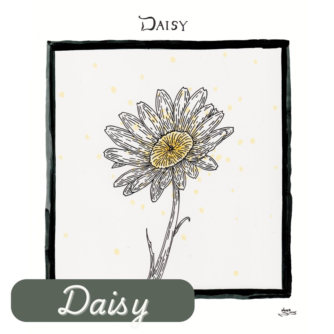 Daisy, April Birth Month Flower, Custom Birth Flowers, Wall Art, Modern ...