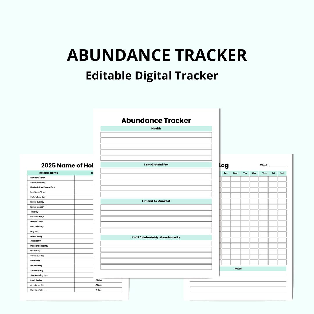 2025 Abundance Planner | Digital Download | Manifestation Journal ...