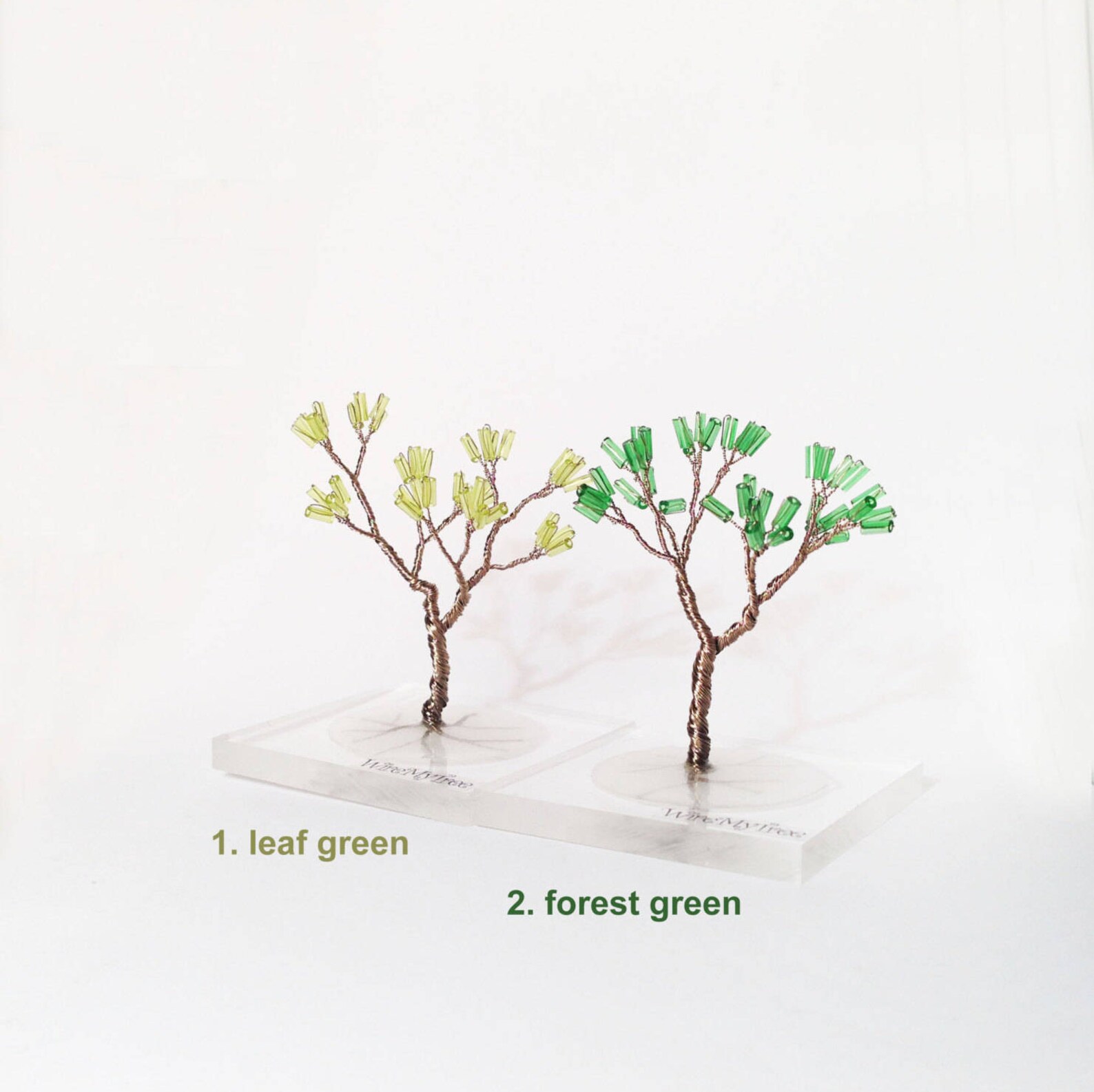 Green Joshua Art Tree Statue Resin Plexi Base, Yucca Palm Tree Minimal ...