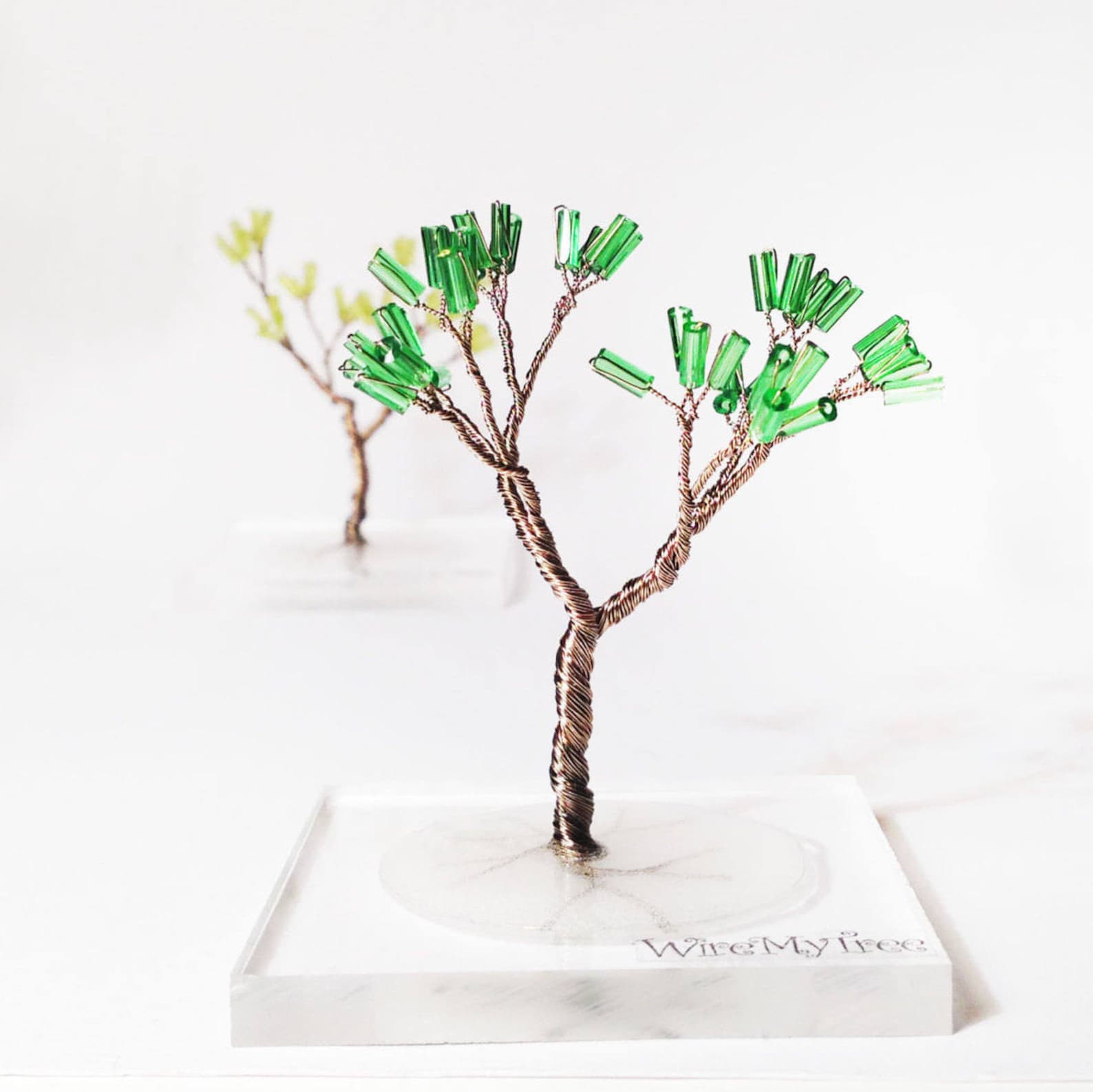 Green Joshua Art Tree Statue Resin Plexi Base, Yucca Palm Tree Minimal ...