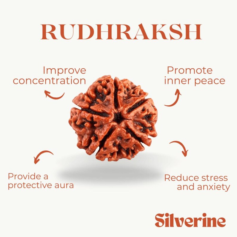 Authentic Rudraksha Bracelet for Spiritual Growth, Protection & Healing ...