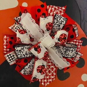 Ladybug Door Hanger, Front Porch Ladybug Door Hanger, Summertime Door ...