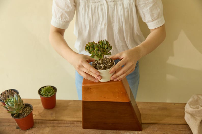 Wooden Plant Cremation Urn: Birch & Walnut, With Ceramic Pot - Etsy