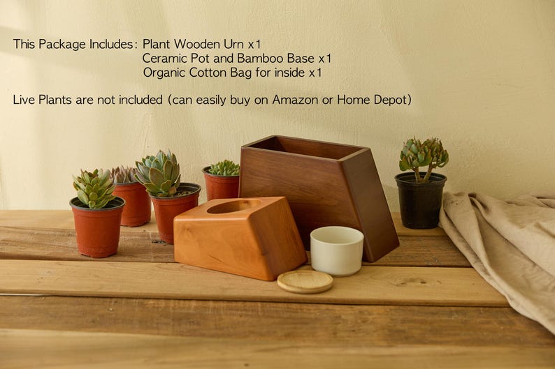 Wooden Plant Cremation Urn: Birch & Walnut, With Ceramic Pot - Etsy