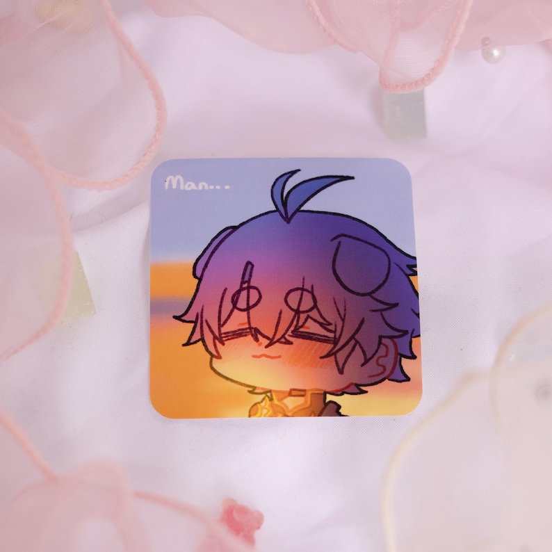 Meme Honkai Star Rail Vinyl Sticker | 2.5" Funny HSR Stickers | Cute ...