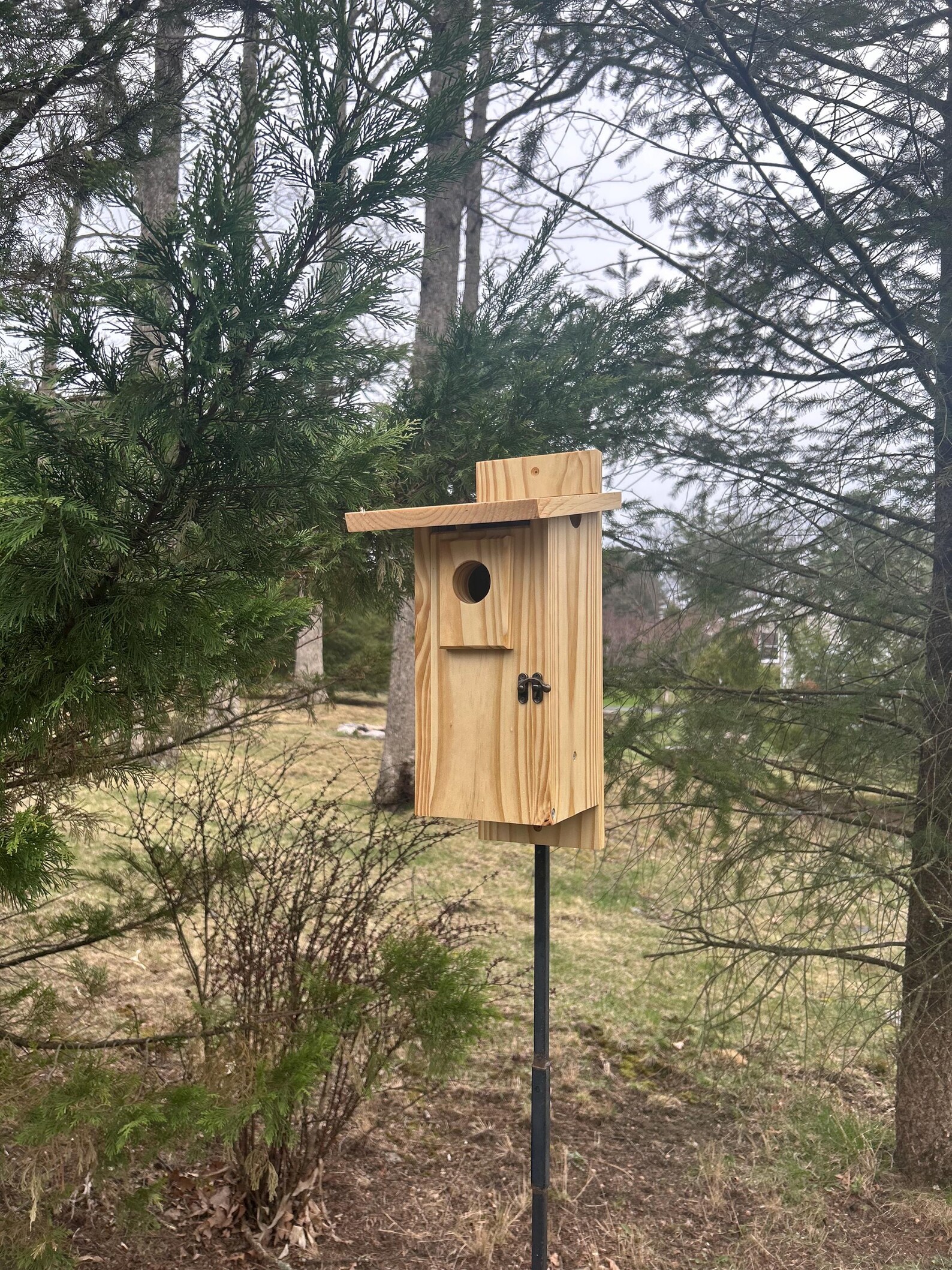 Bluebird Nesting Box ( Front Door) - Etsy