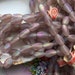 Vintage Pink Frosted Opal Glass Beads, Frosted Glass Opals, Cherry ...