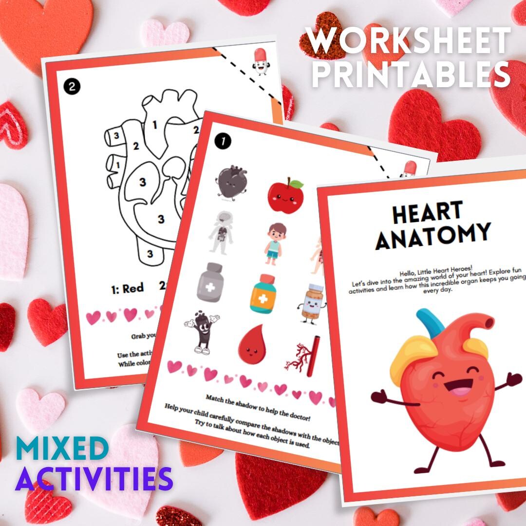 Valentine Heart Anatomy Worksheet, Fun and Colorful Printables for Kids ...
