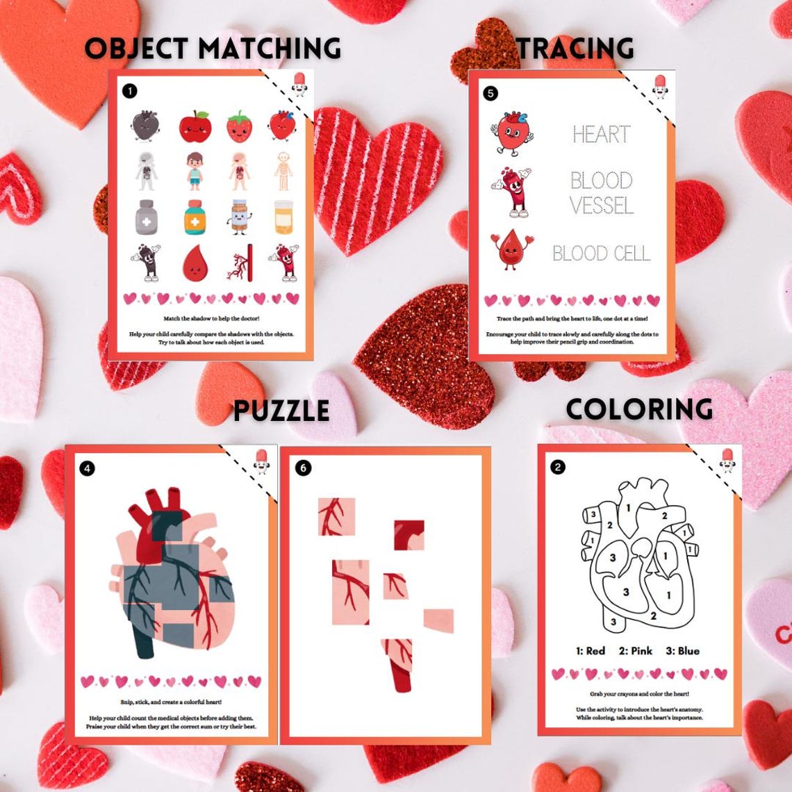 Valentine Heart Anatomy Worksheet, Fun and Colorful Printables for Kids ...