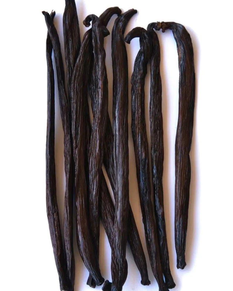 50 Gr 14-16 Cm Bourbon Vanilla Bean Gourmet Grade A for Luxury Desserts ...