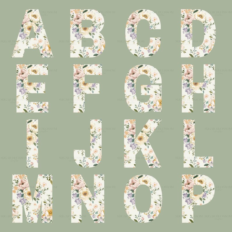 Vintage Blooms Floral Alphabet, Numbers & Seamless Pattern - 39 Pngs ...