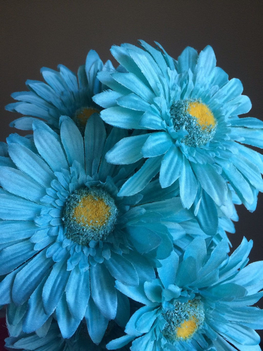 Caribbean Blue Gerber Daisy Pens Set of 4 : Guest Pens, Party Favors - Etsy