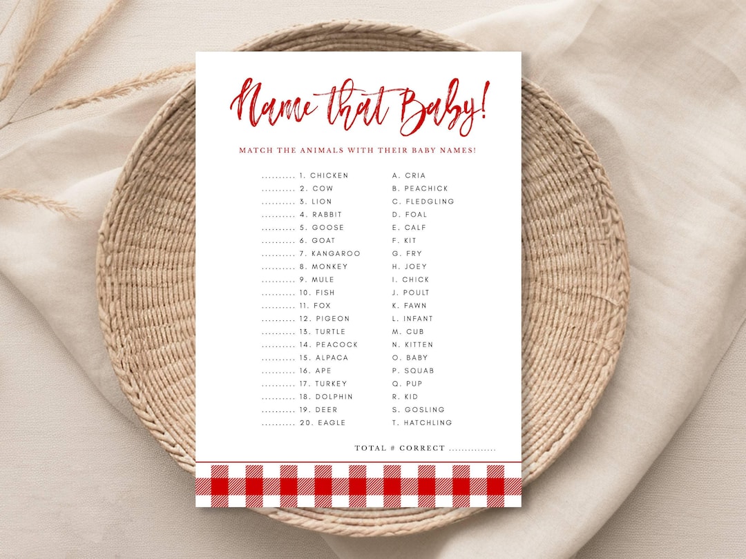 Name That Baby, Baby Shower Game Card | Red Check Gingham Baby Shower ...