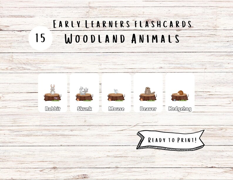 Early Learners Flashcards - Woodland Animals - Etsy