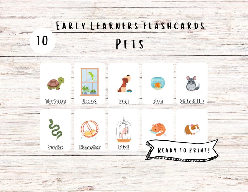 Early Learners Flashcards - Pets - Etsy