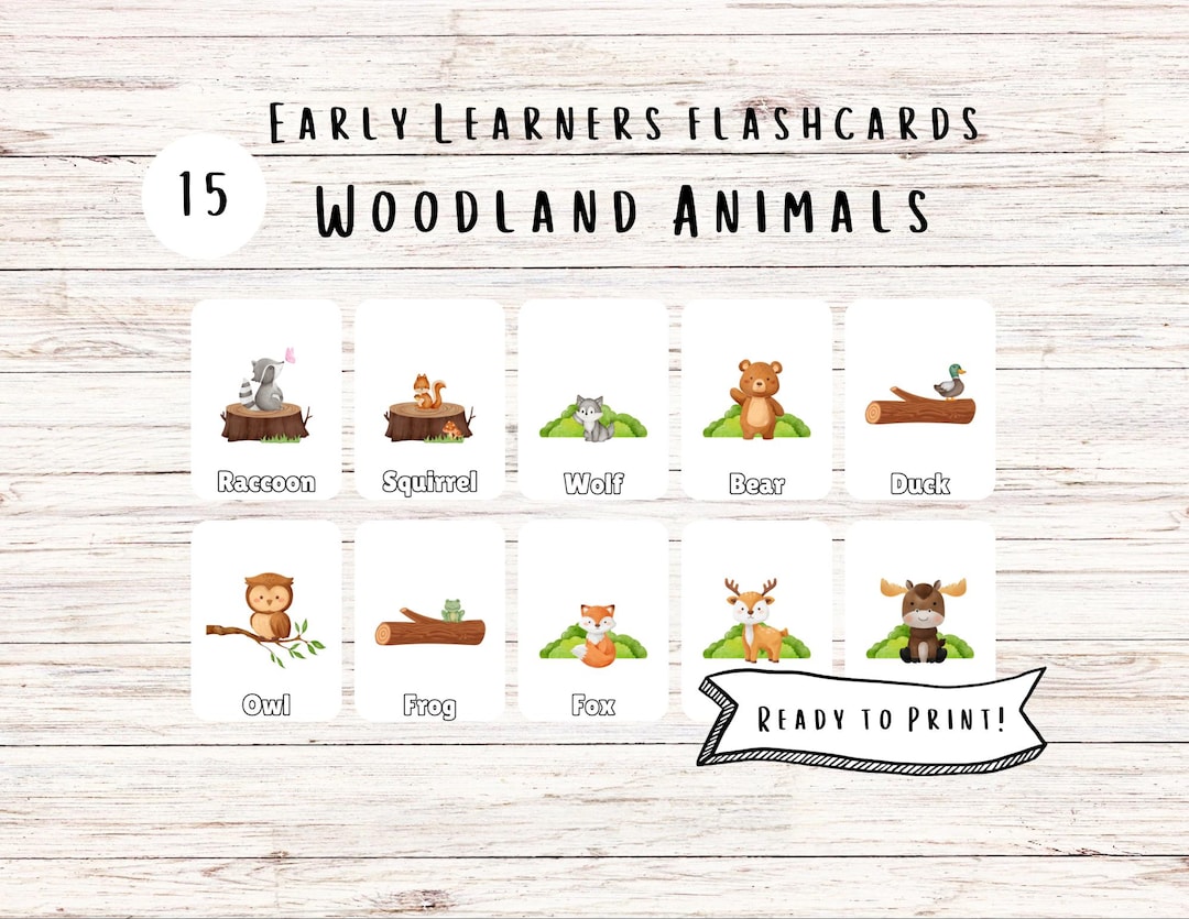 Early Learners Flashcards - Woodland Animals - Etsy