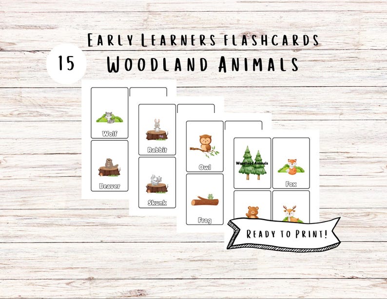 Early Learners Flashcards - Woodland Animals - Etsy