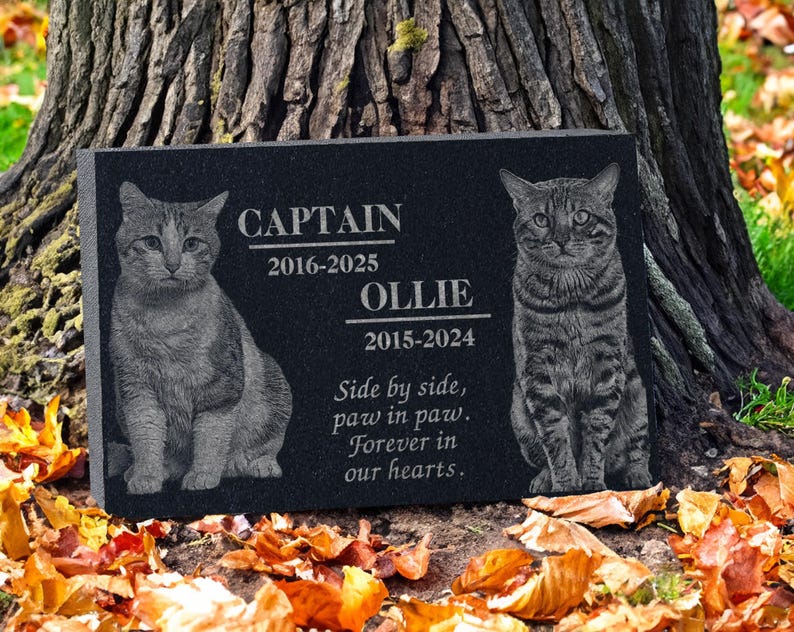 Custom Memorial for 2 Pets: Double Pet Tribute Stone | Honor Two Pets ...