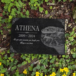 Custom Pet Photo Memorial Slab: Rabbit Garden Tribute, Horse Headstone ...