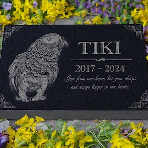 Photo Pet Memorial Gift for Bird Lovers: Parakeet & African Grey Parrot ...