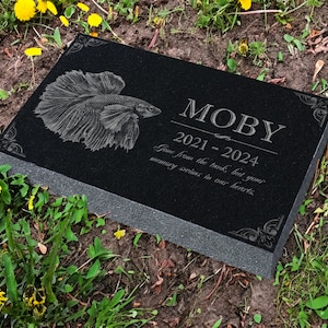Custom Fish Memorial Stone: Goldfish Betta Koi Guppy | Loss of Pet Fish ...