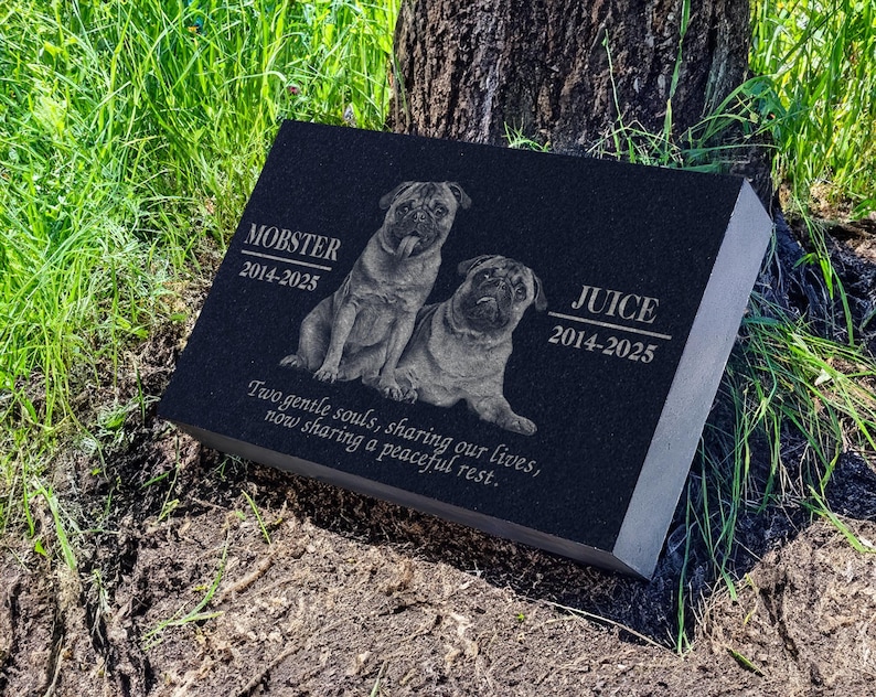 Custom Memorial for 2 Pets: Double Pet Tribute Stone | Honor Two Pets ...