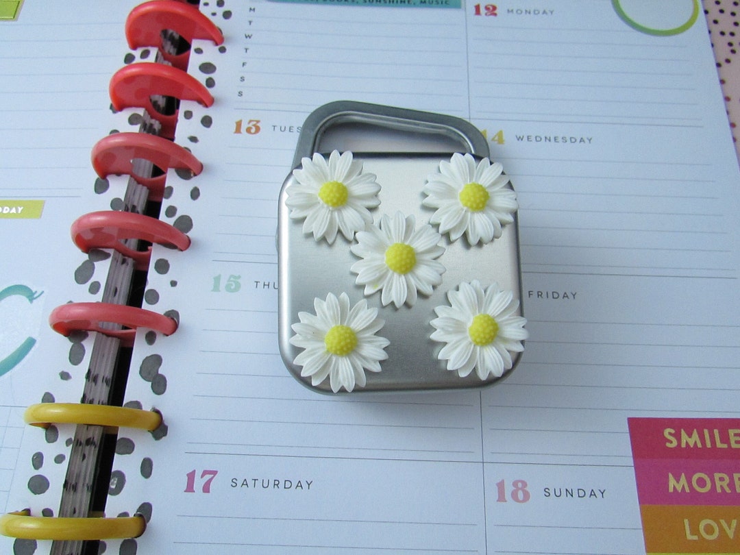 Daisy Magnets Set of 5 in Metal Gift Box, Spring Gardener Gift for ...
