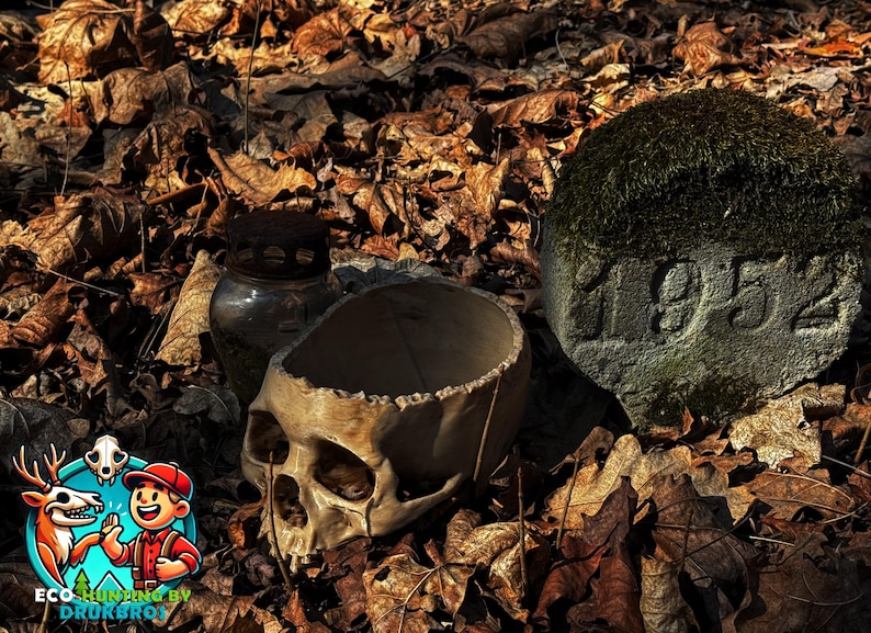 Realistic Human Skull Bowl – Highly Detailed Gothic Décor, Halloween ...