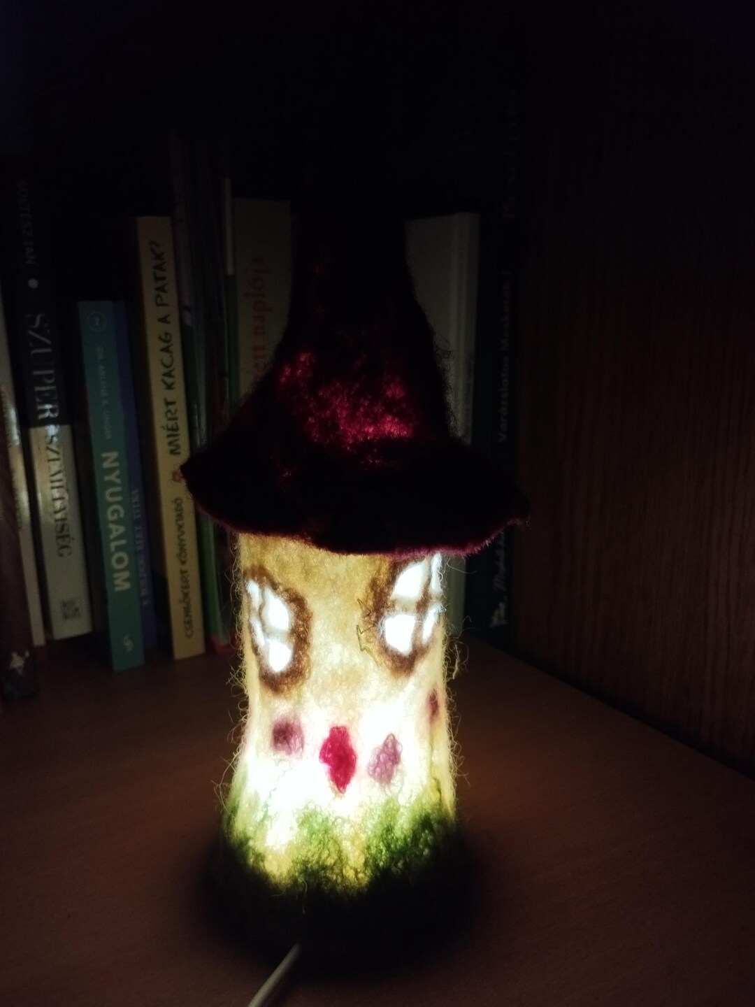 Magic Felted House Shaped Lamp With Cable - Etsy