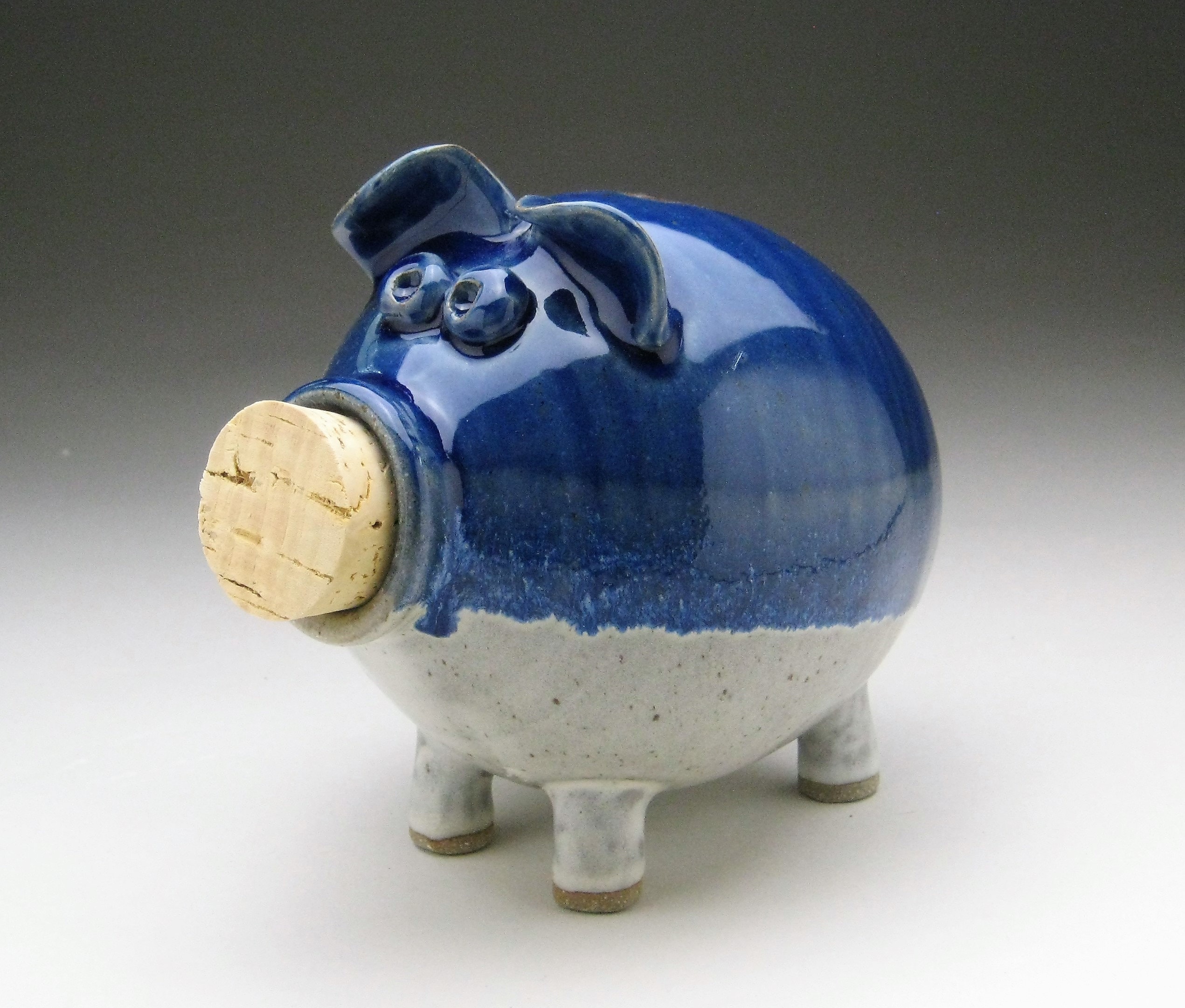 Blue Piggy Bank