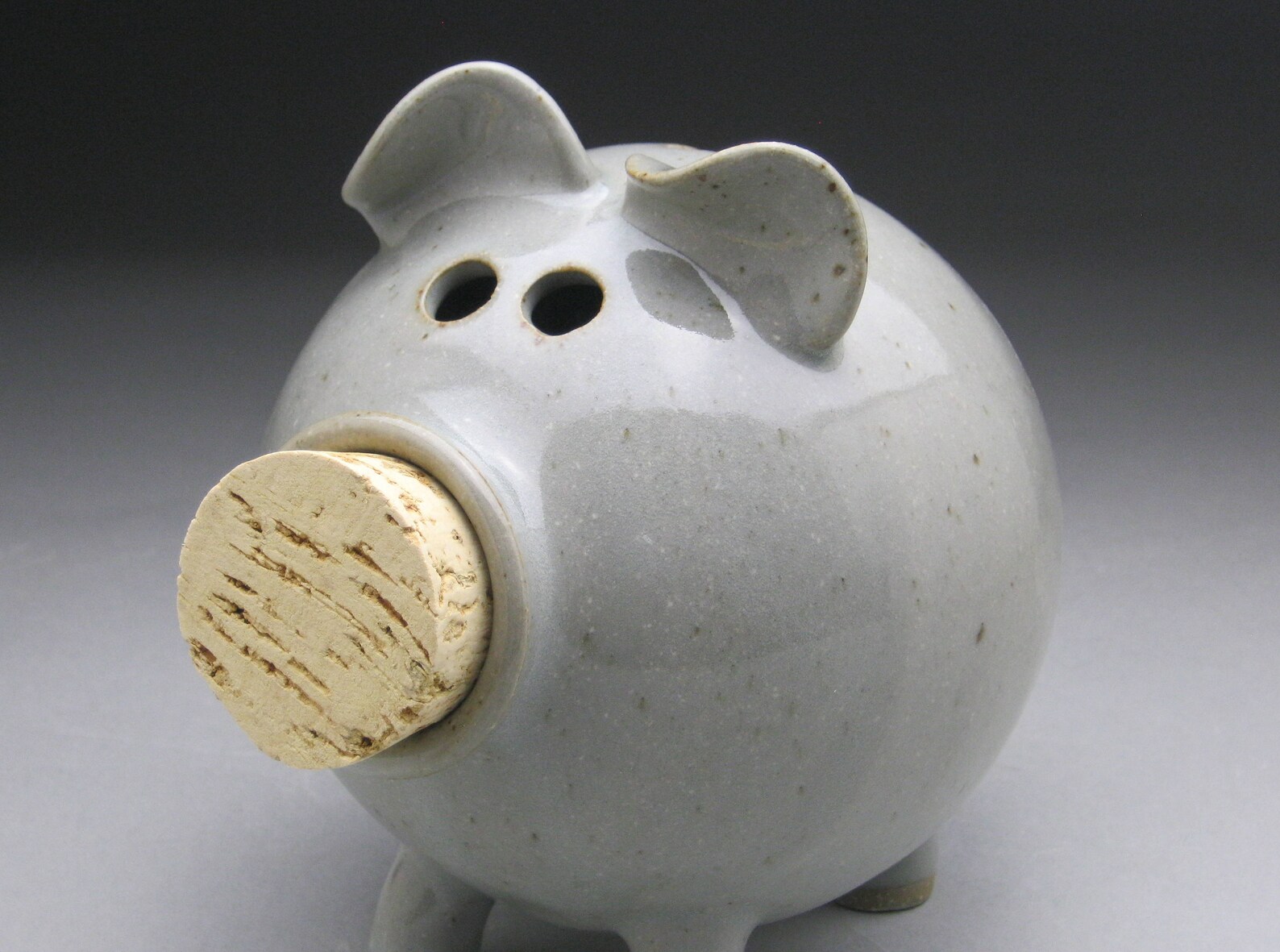 Personalized Ceramic Piggy Bank - Etsy