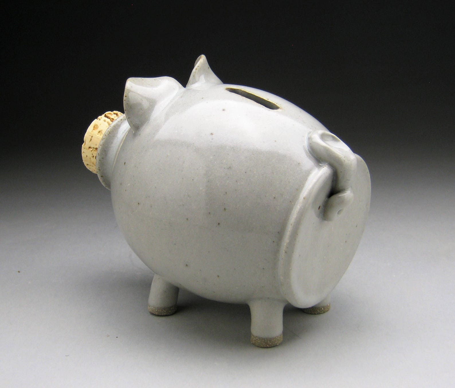 Personalized Ceramic Piggy Bank | Etsy