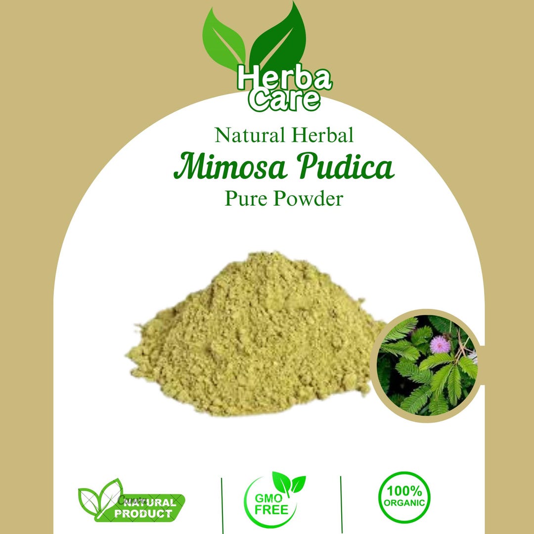 Pure Powder of Humble Plants (mimosa Pudica) Fresh Organic Single Spice ...