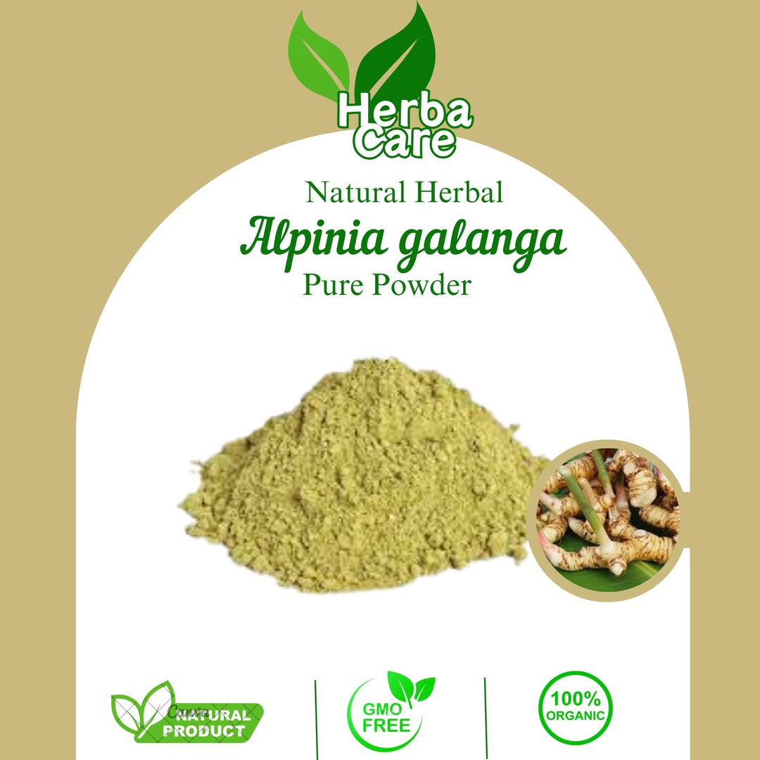 Pure Powder of Greater Galangal or Lengkuas (alpinia Galanga) Fresh ...