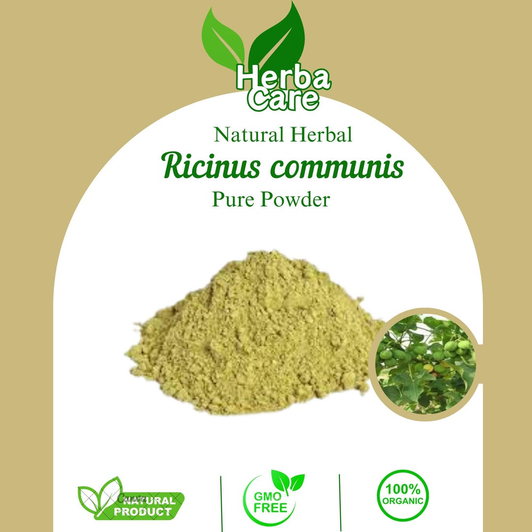 Pure Powder of Ricinus Communis, Castor Fresh Organic Single Spice ...