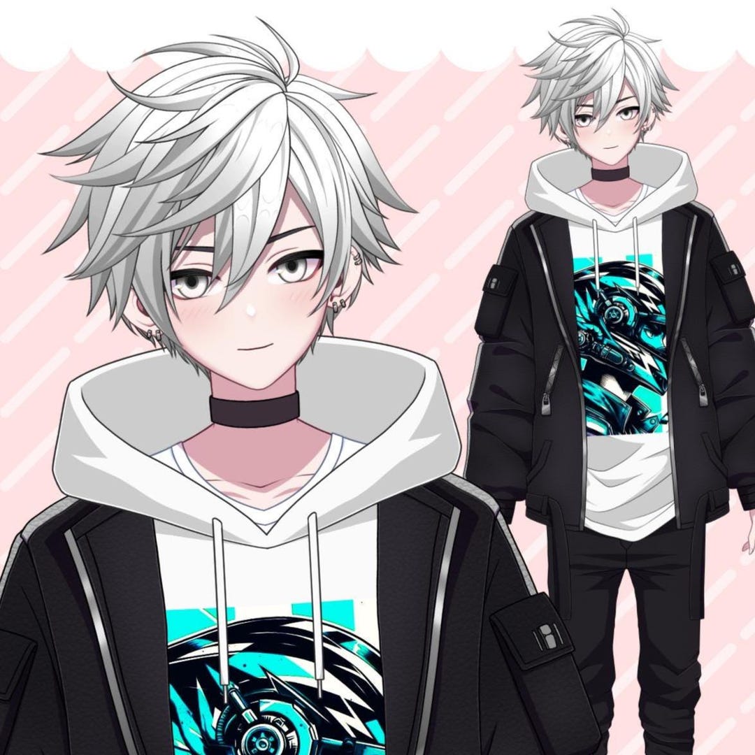 Premade Fullbody Live2d Male Vtuber Model: White Hoodie and Jacket Boy ...