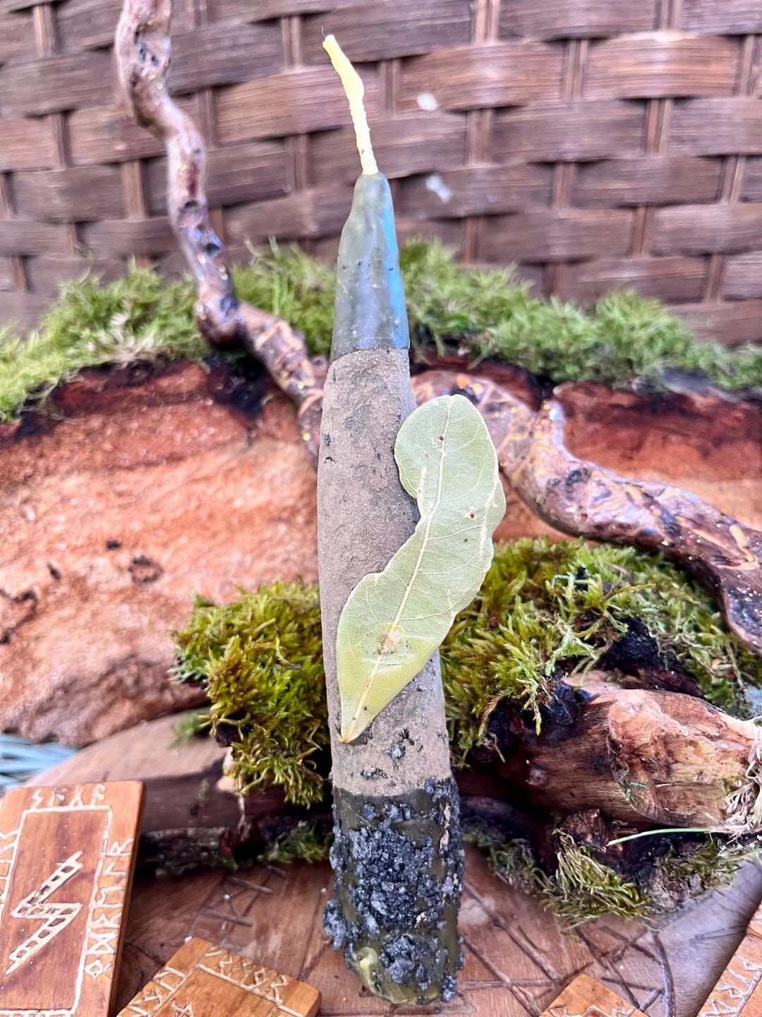 Candle Mullein Torch / Money Candle / Money Candle / Herbal Mullein ...