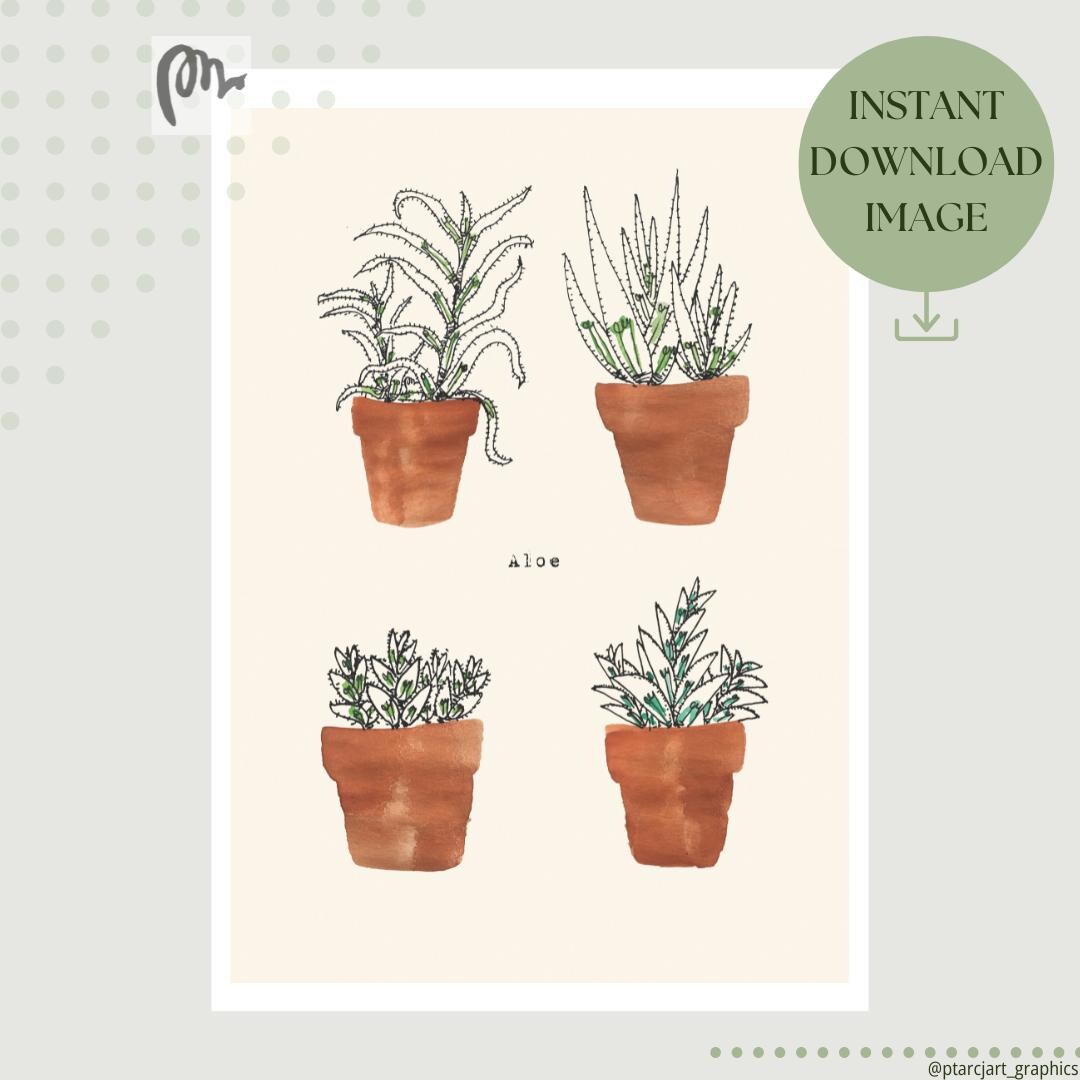 Funny Aloe Vera Plant Printable Illustration, Botanical Graphic, Spring ...