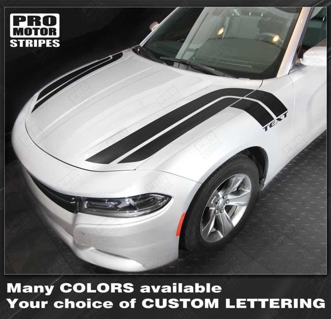 Dodge Charger 2011-2023 Fender to Side Thunderbolt Hash Stripes - Etsy