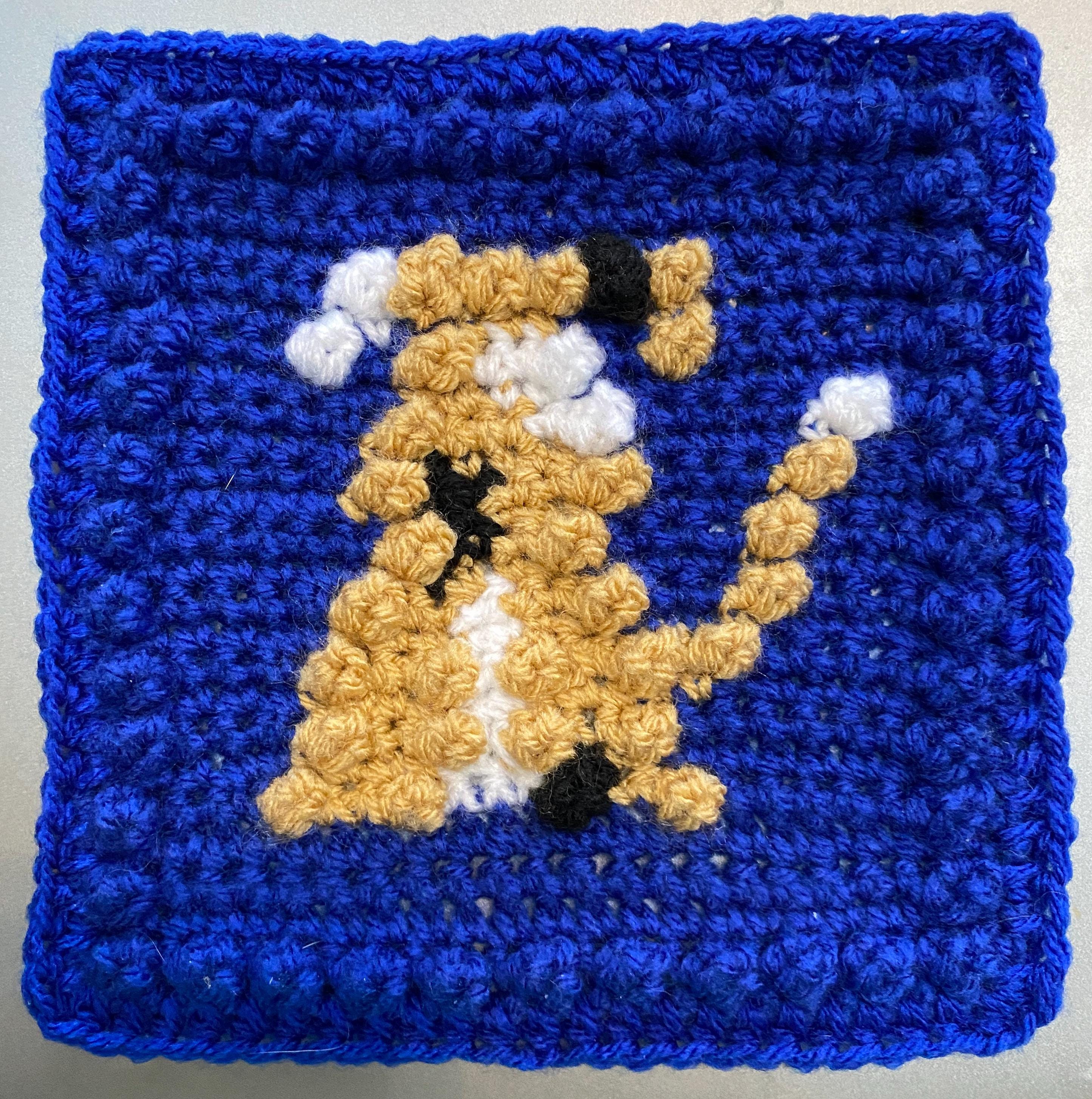 Dog Paw Print Afghan Blanket Crochet Pattern - Etsy