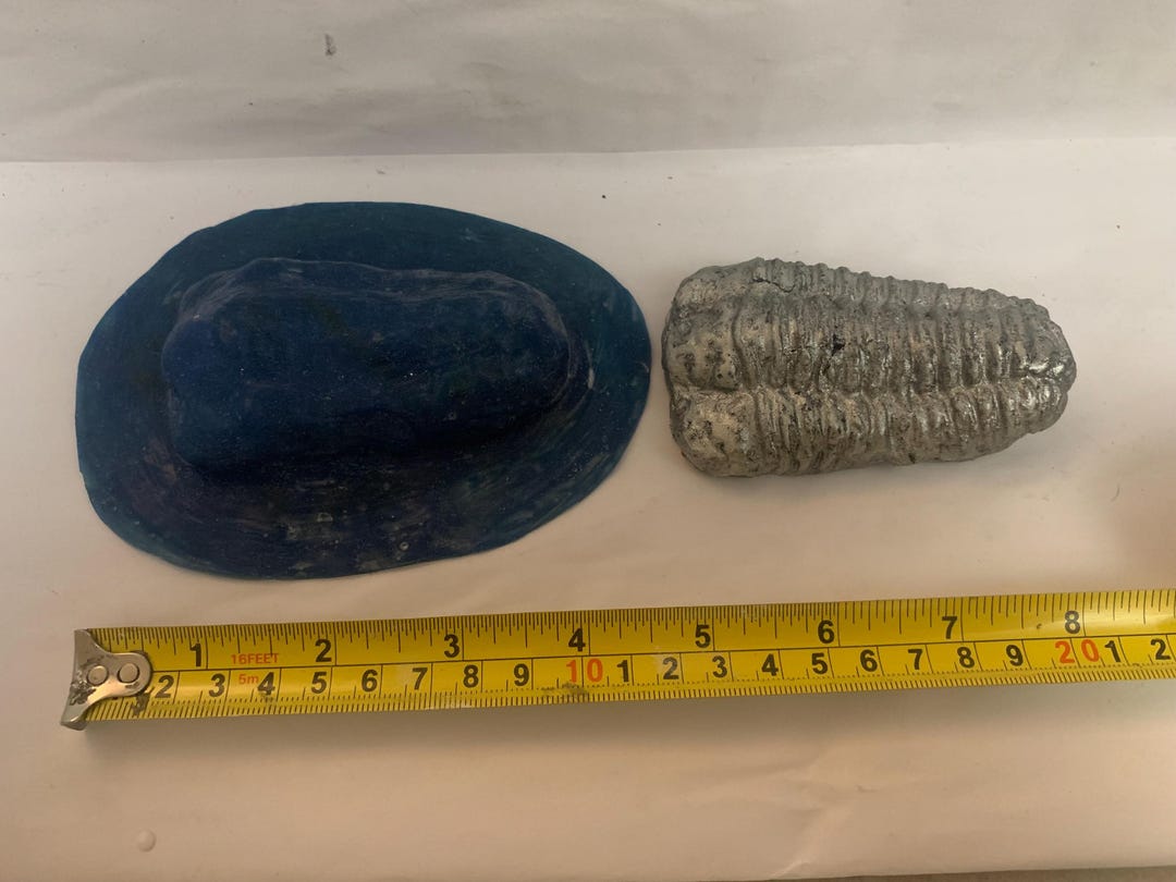 Latex Rubber Mold of a Small Trilobite Fossil YKM-L5075 Handmade Made ...