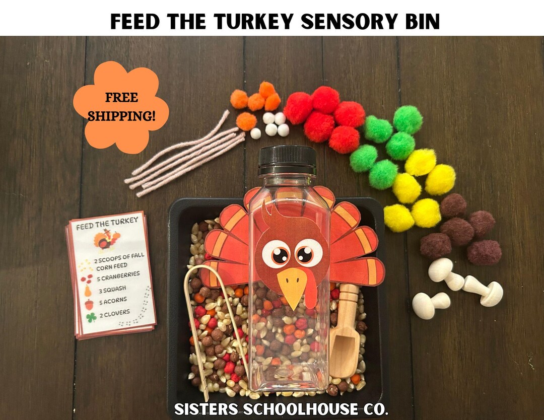 Feed the Turkey Sensory Bin Kit: Montessori Play, Action Cards ...