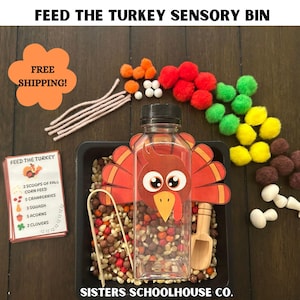 Feed the Turkey Sensory Bin Kit: Montessori Play, Action Cards ...