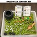 Halloween Witches Brew Sensory Bin: I Spy Game, Recipe Cards - Etsy